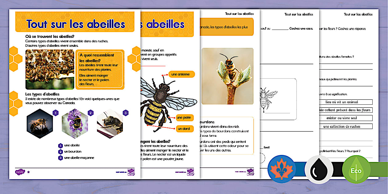 All About Bees Differentiated Reading Comprehension French