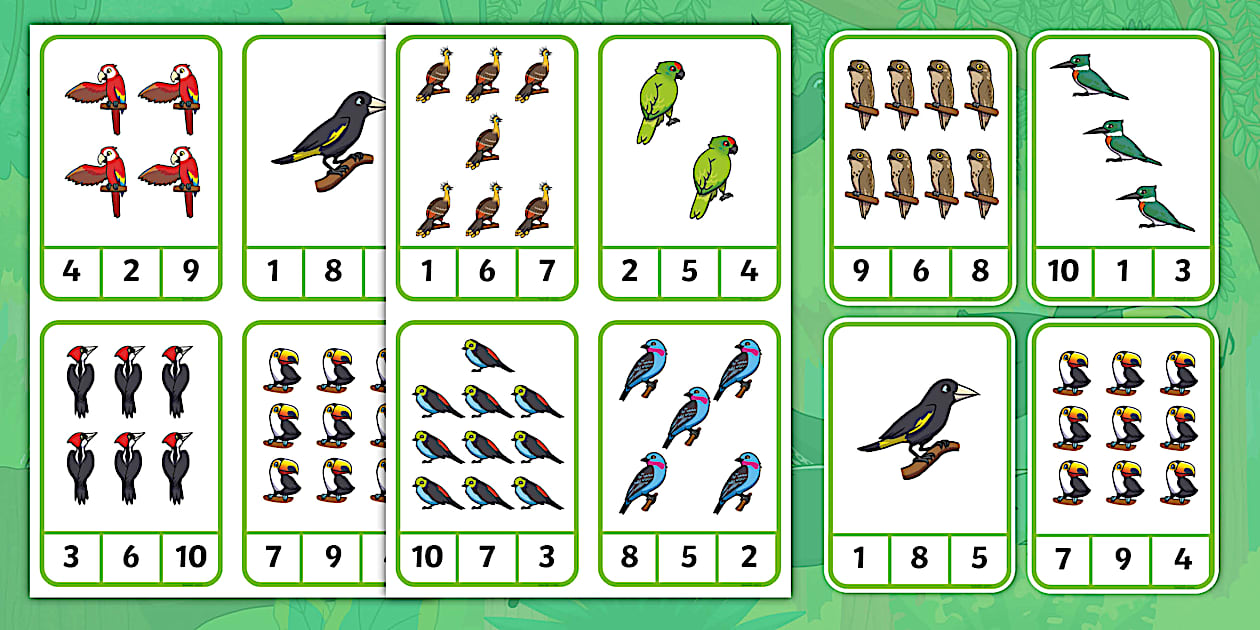 👉 Jungle Birds Peg Counting