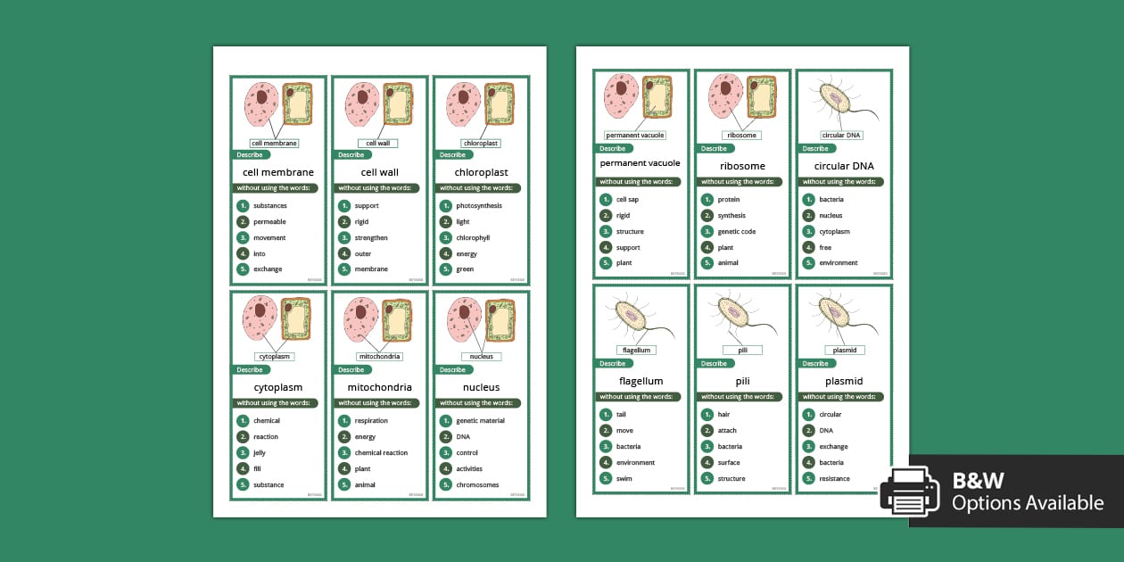 Cell Parts Game | Can You Guess? Card Game | Beyond Science