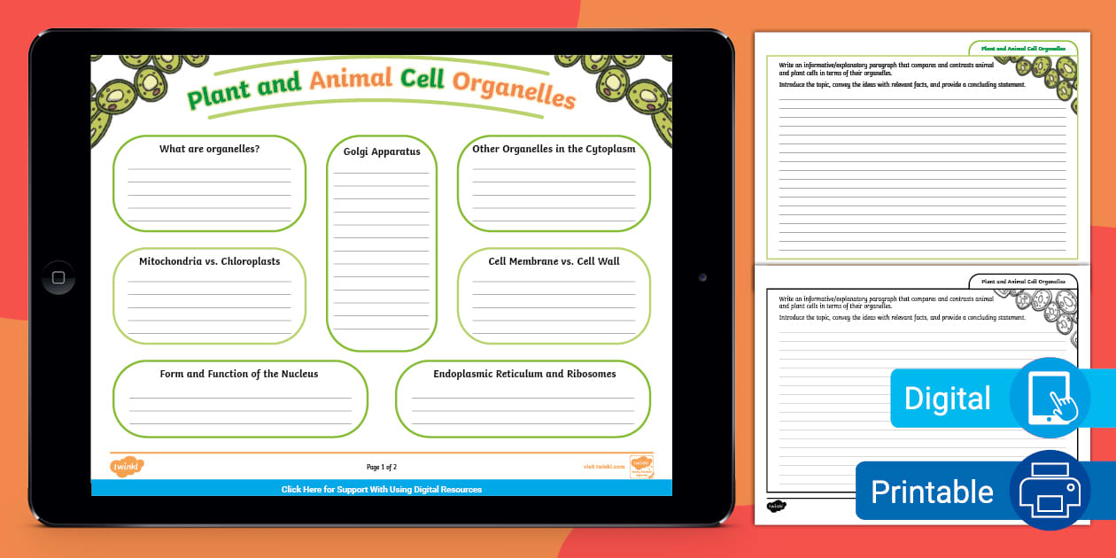 Plant and Animal Cell Organelles Notes and Write