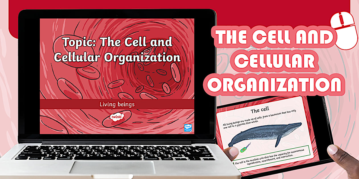 Cells and Cellular Organization Presentation