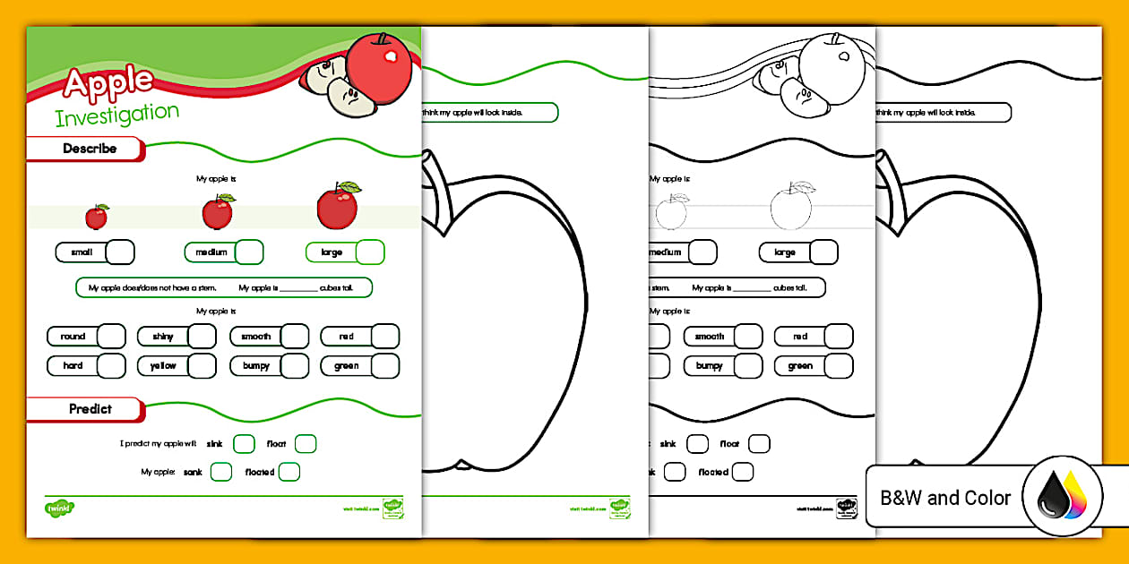 Apple Investigation Worksheet for K-1st Grade (teacher made)