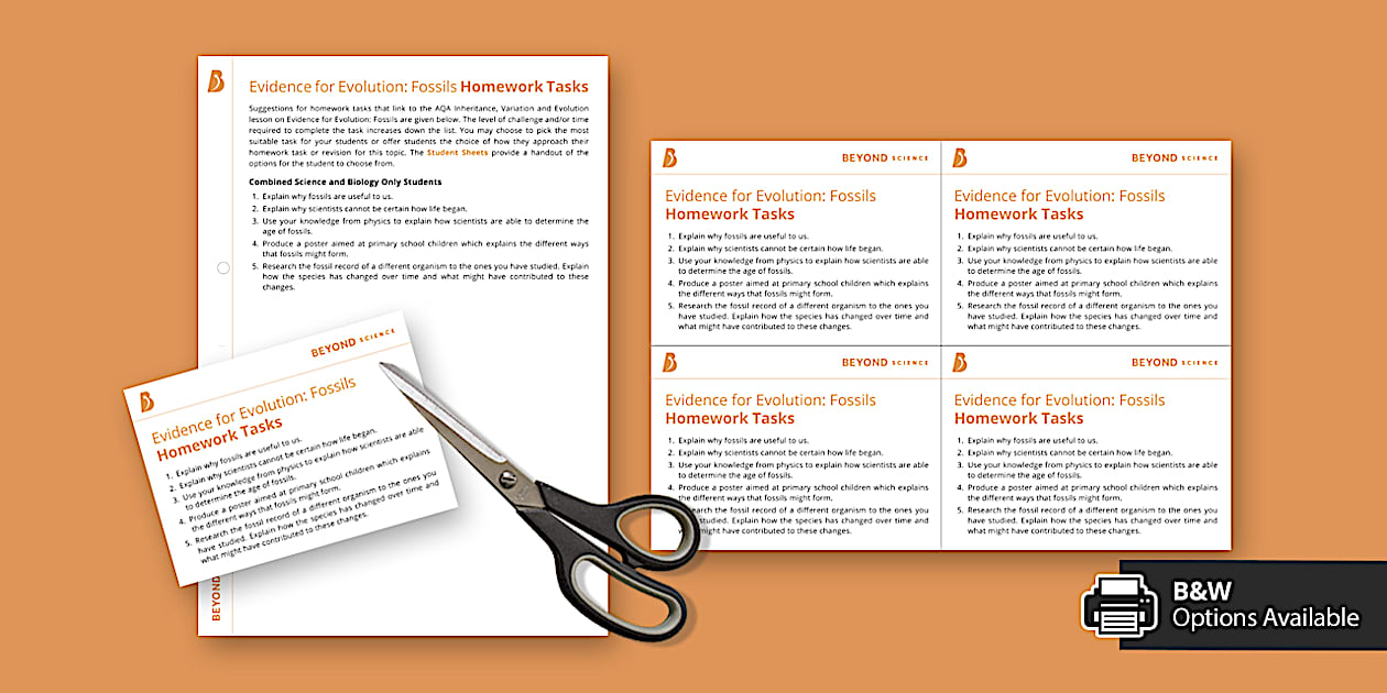 Evidence for Evolution: Fossils Homework and Revision Tasks