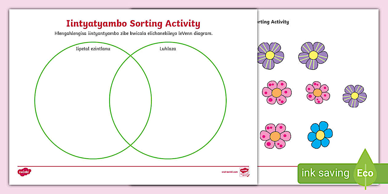 Venn Diagram Flower Sorting Worksheet isiXhosa - Twinkl