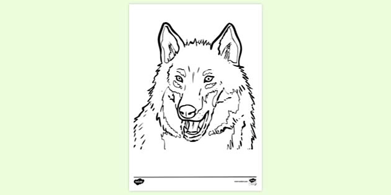 Wolf Face Colouring Sheet | Colouring Sheet (teacher made)