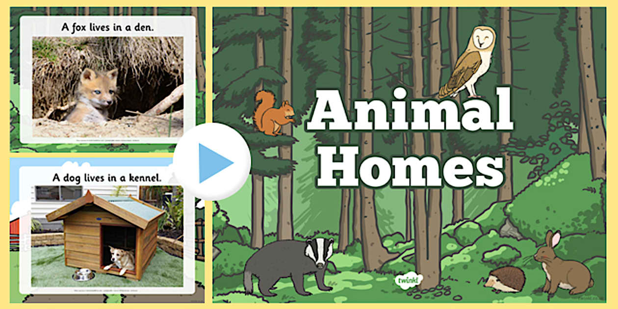 Animal Homes For Kids PowerPoint - Science - EYLF - Twinkl