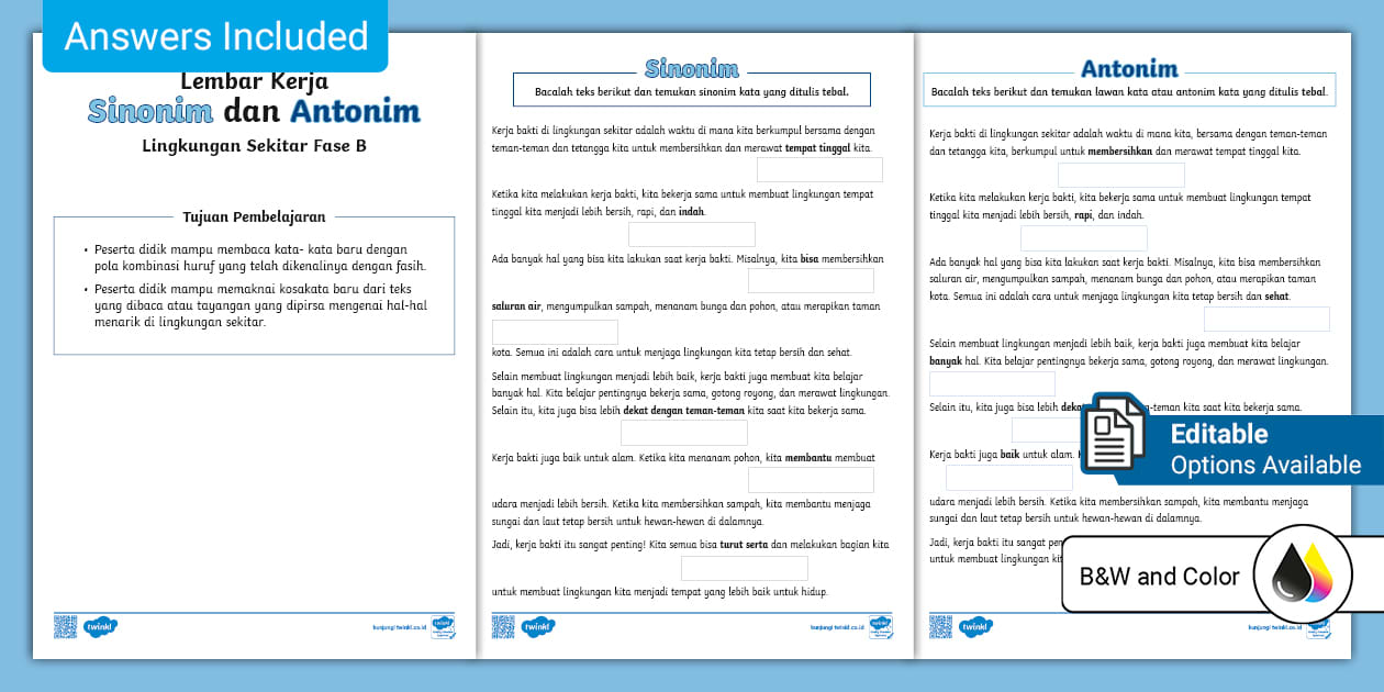 Lembar Kerja Contoh Sinonim dan Antonim Fase B - Twinkl