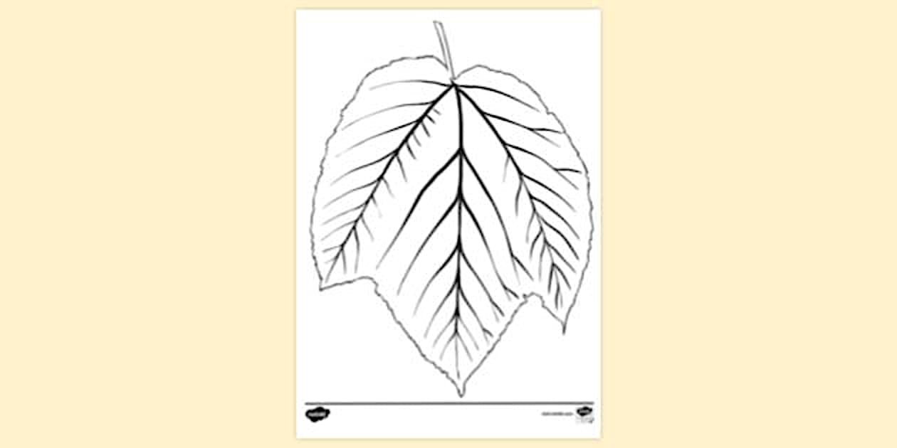 Striped Maple Leaf Colouring Sheet | Colouring Sheets
