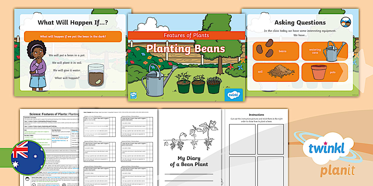 Year 1 Science Features of Plants Lesson 1 Planting Beans