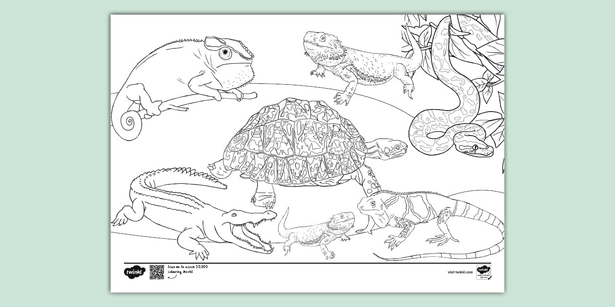 Reptiles Doodles Colouring Sheet (professor feito) - Twinkl
