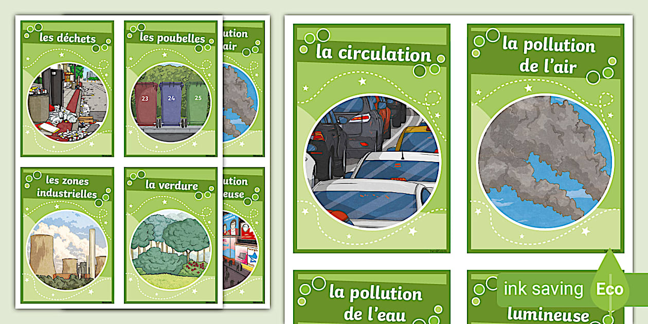 👉 French: Our Precious Planet Flashcards - KS2 Resource
