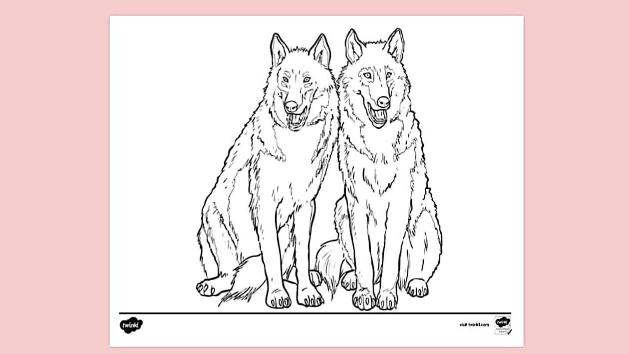 Realistic Colouring Sheet | Colouring | Twinkl Resources
