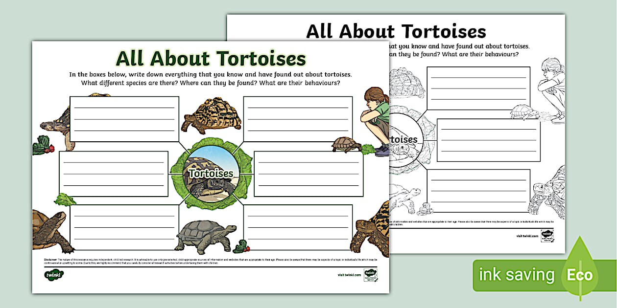 All About Tortoises Mind Map (teacher made) - Twinkl