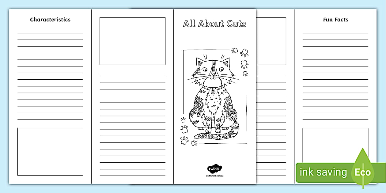 All About Cats Booklet (Teacher-Made) - Twinkl