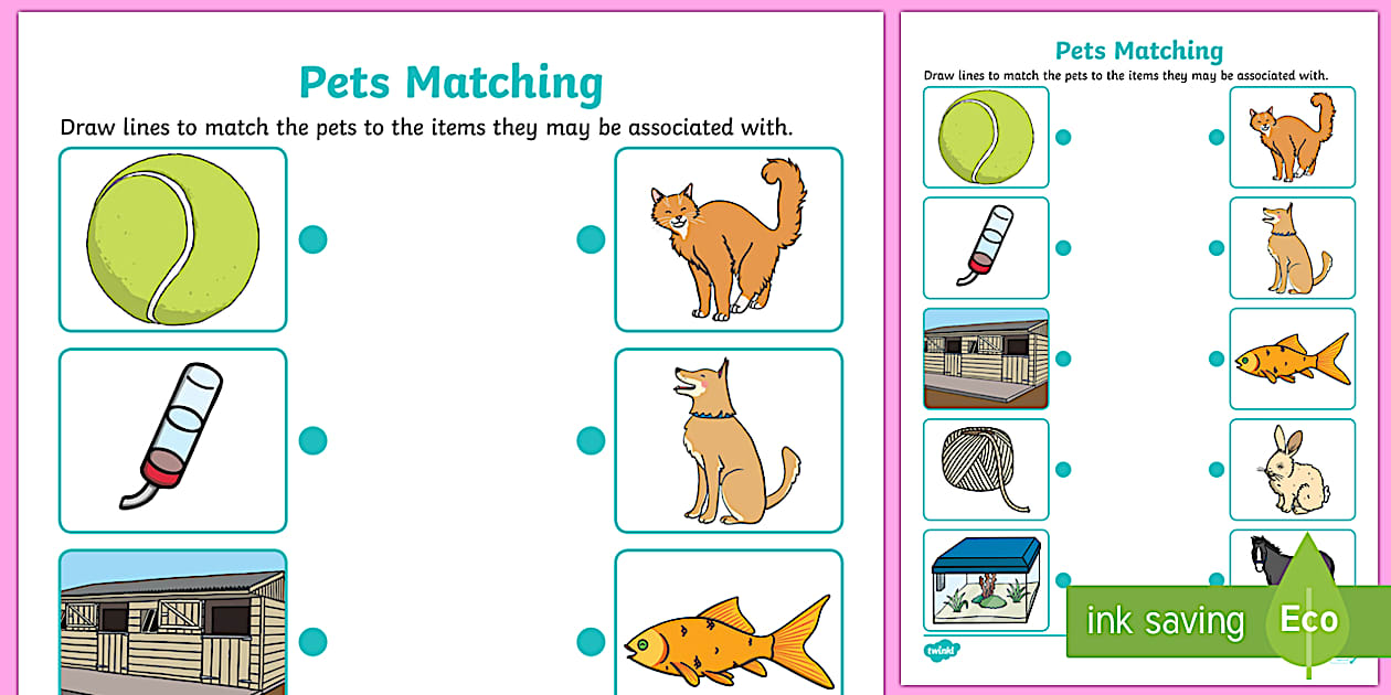 Editable Pets Matching Activity (teacher made) - Twinkl