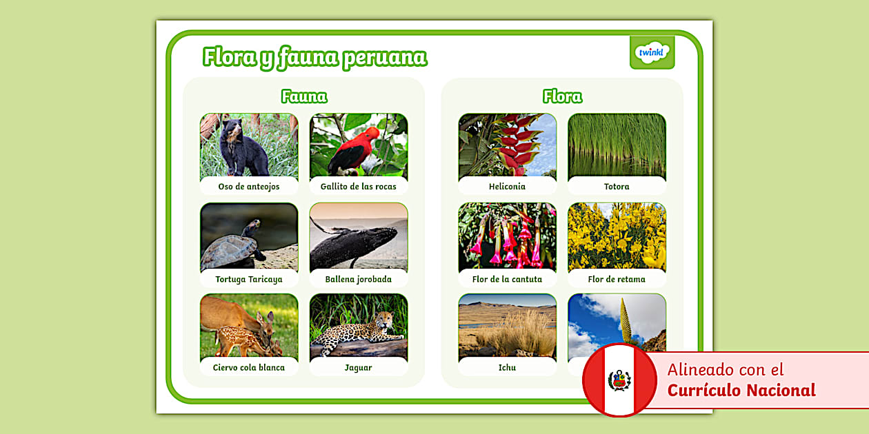 Lámina de la flora y fauna peruana | Recursos Educativos