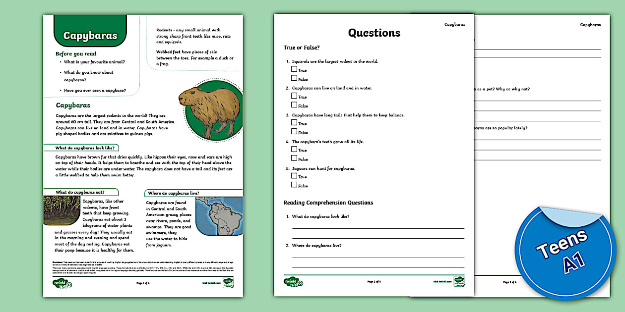 ESL Capybara Reading Comprehension [Teens, A1] - Twinkl