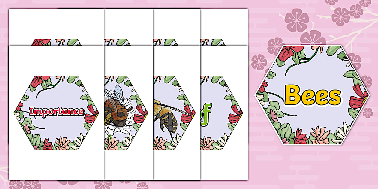 The Importance of Bees Hexagon Display Shapes (teacher made)