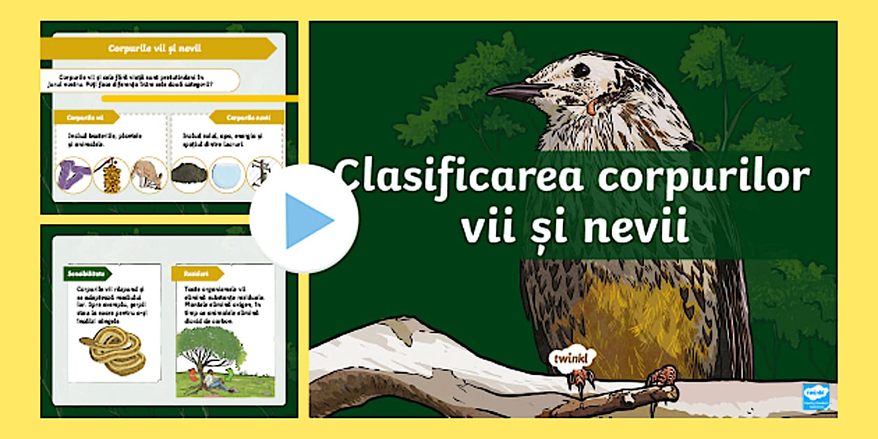 Corpuri cu viață și fără viață - Prezentare PowerPoint