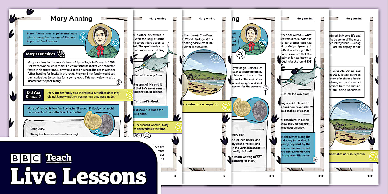 FREE! - BBC Teach: Natural History Museum Live Lesson Activity LKS2