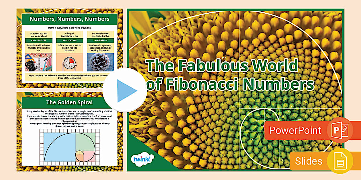 The Fabulous World of Fibonacci Numbers (Year 7-8) - Twinkl