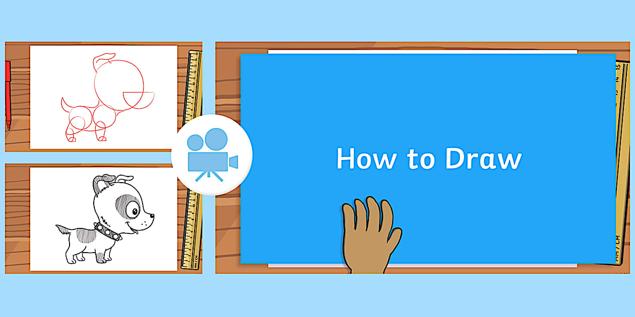 How to Draw a Dog Animation | Twinkl Go! - Twinkl