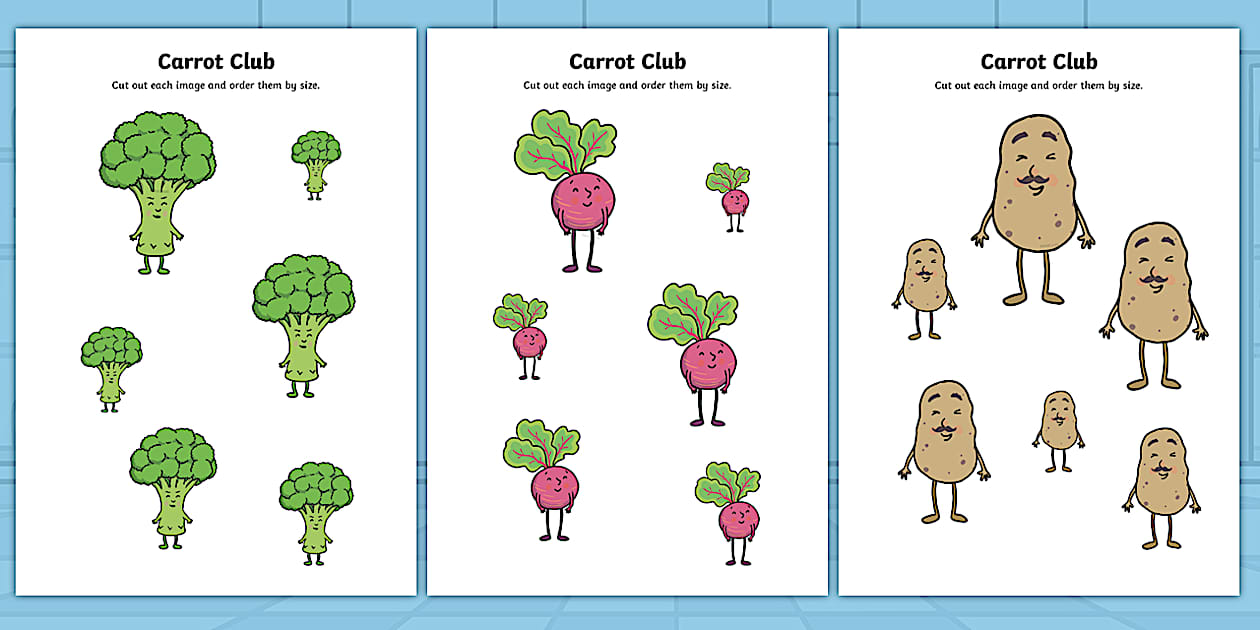 Carrot Club Size Ordering (teacher made) - Twinkl