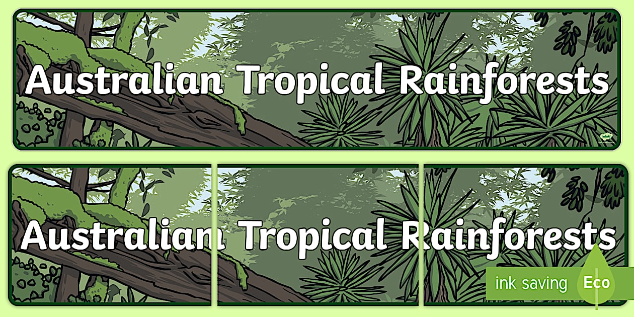 Australian Tropical Banner - Rainforest Classroom Display