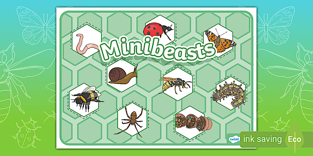 Minibeasts Display Poster (teacher made) - Twinkl