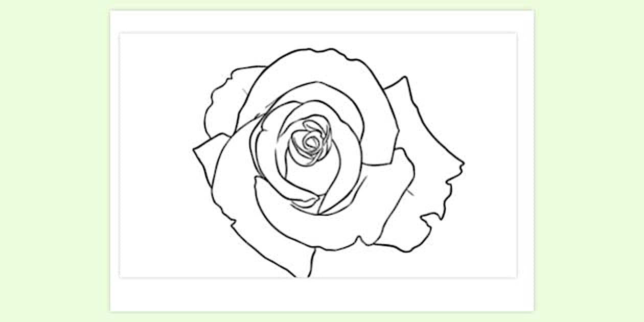 Printable Rose Colouring Page | Twinkl (teacher made)