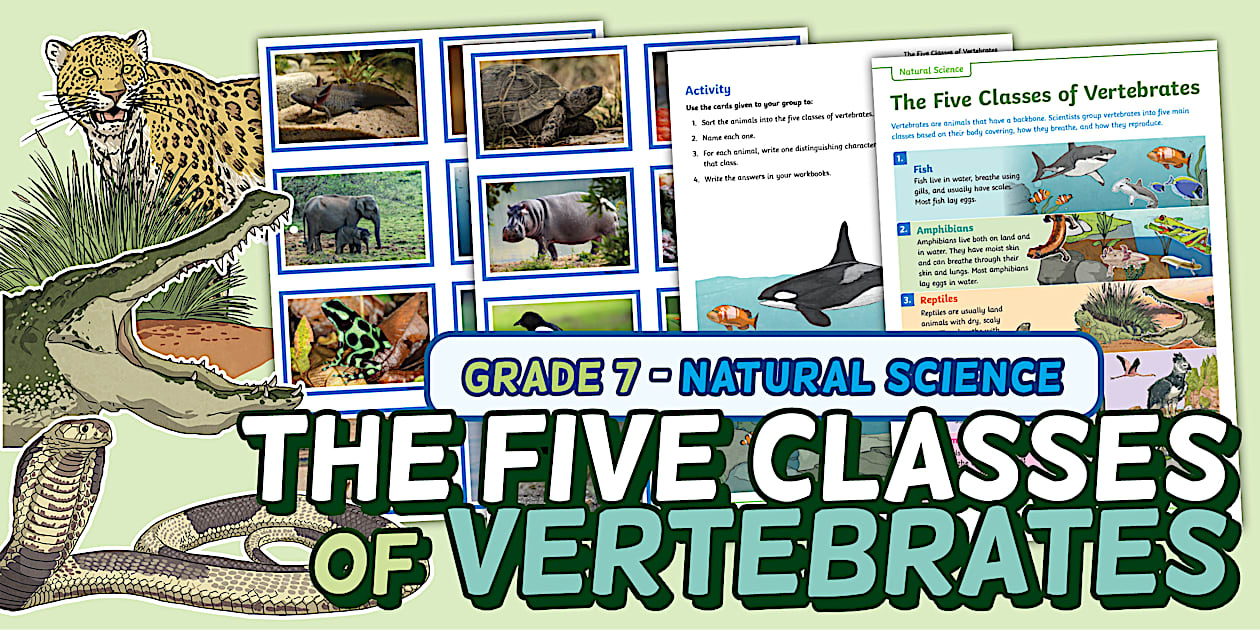 Grade 7 NS - Term 1 - The Five Classes of Vertebrates