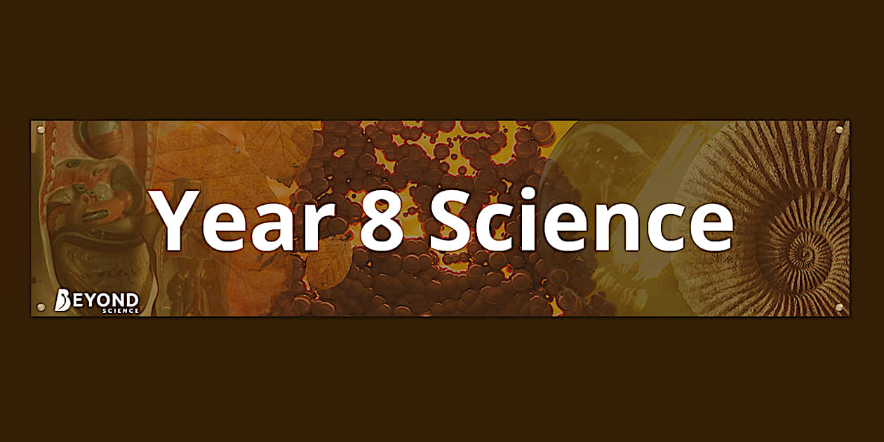 Year 8 Science Banner | Display Resources | Beyond - Twinkl