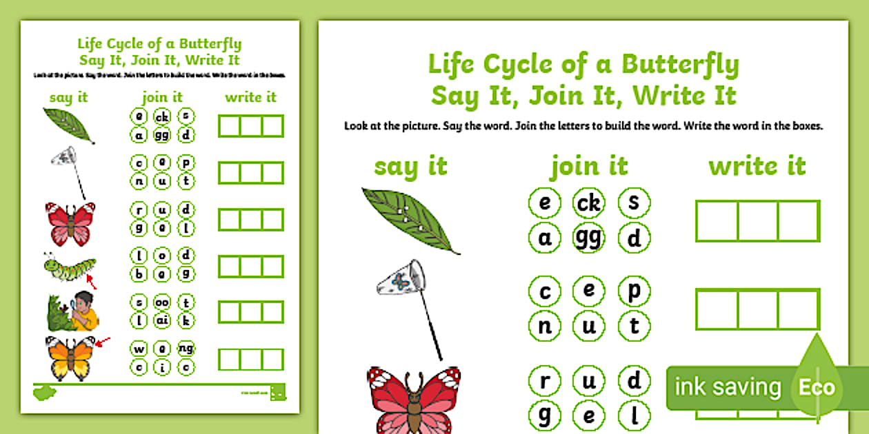Life Cycle of a Butterfly Say It, Join It, Write It Activity