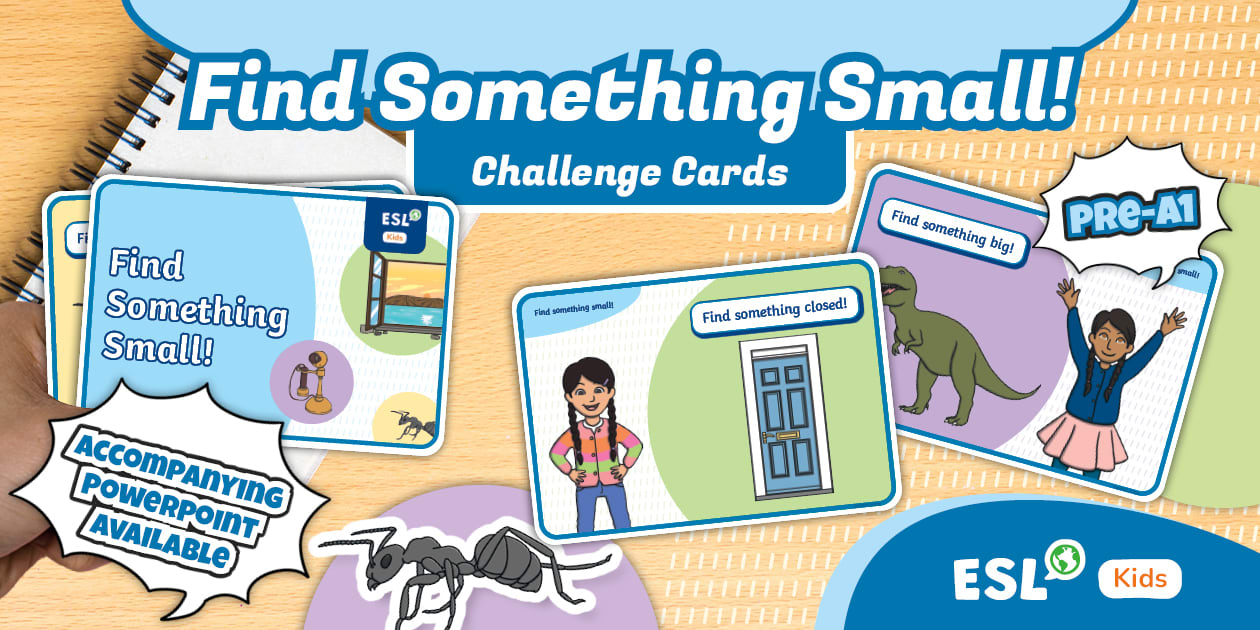 ESL Find Something Small! Challenge Cards (teacher made)