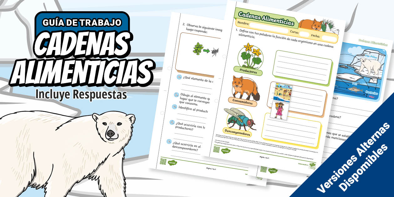 Guía | Trabajo | Cadenas | Alimenticias | Cadena Trófica