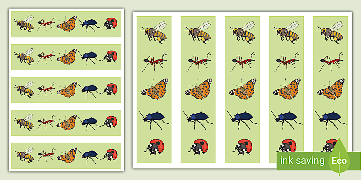 Insects Display Border (Teacher-Made) - Twinkl