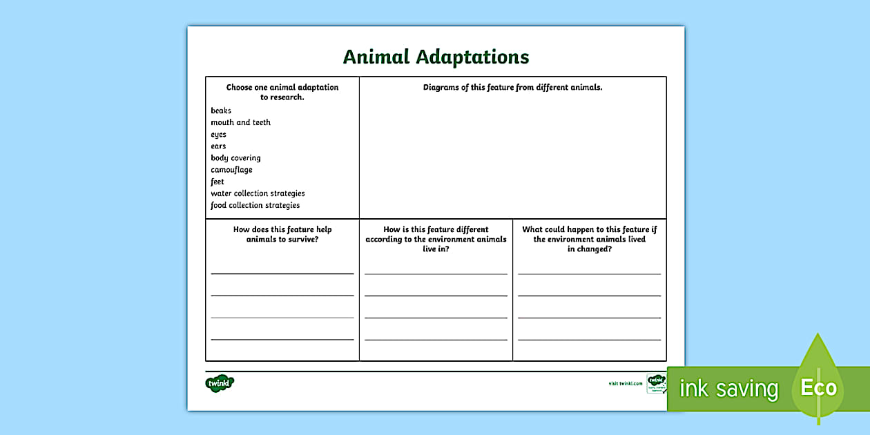 Editable Animal Adaptations Research Worksheet - Twinkl