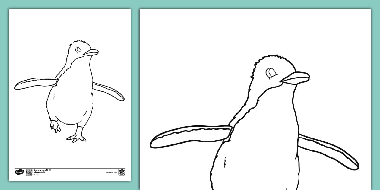 Baby Penguin Colouring Sheet – Colouring – Twinkl Resources