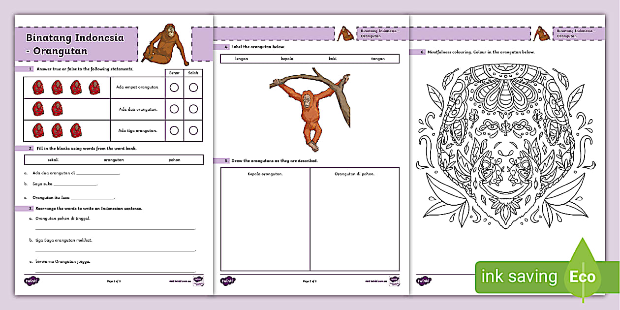 Indonesian Animals: Orangutans Activity - Indonesian