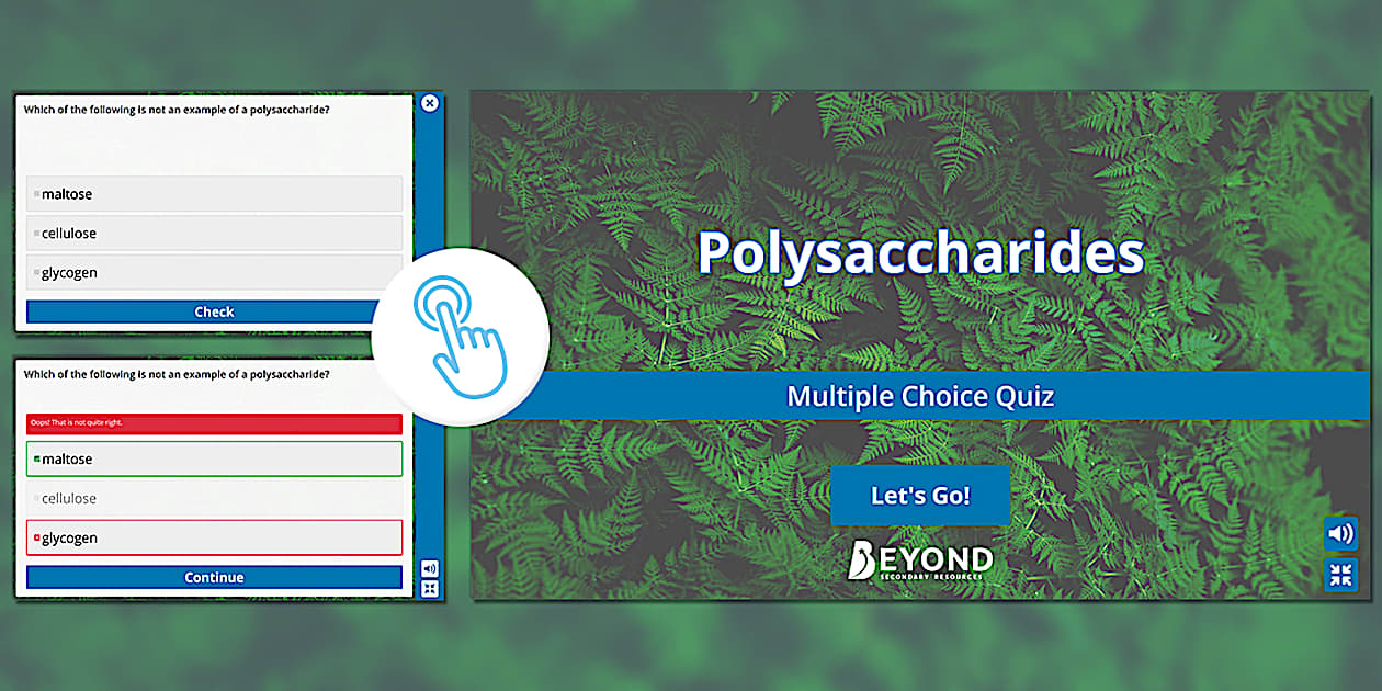 Polysaccharides Multiple Choice Quiz | A Level Biology