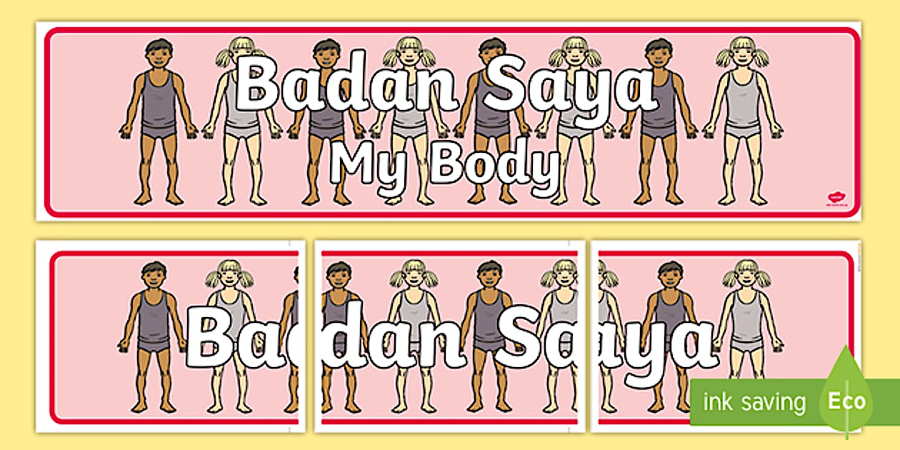 My Body Display Banner