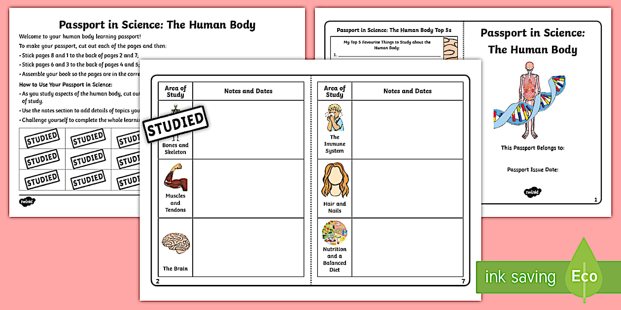 Passport in Science: The Human Body Checklist - Twinkl