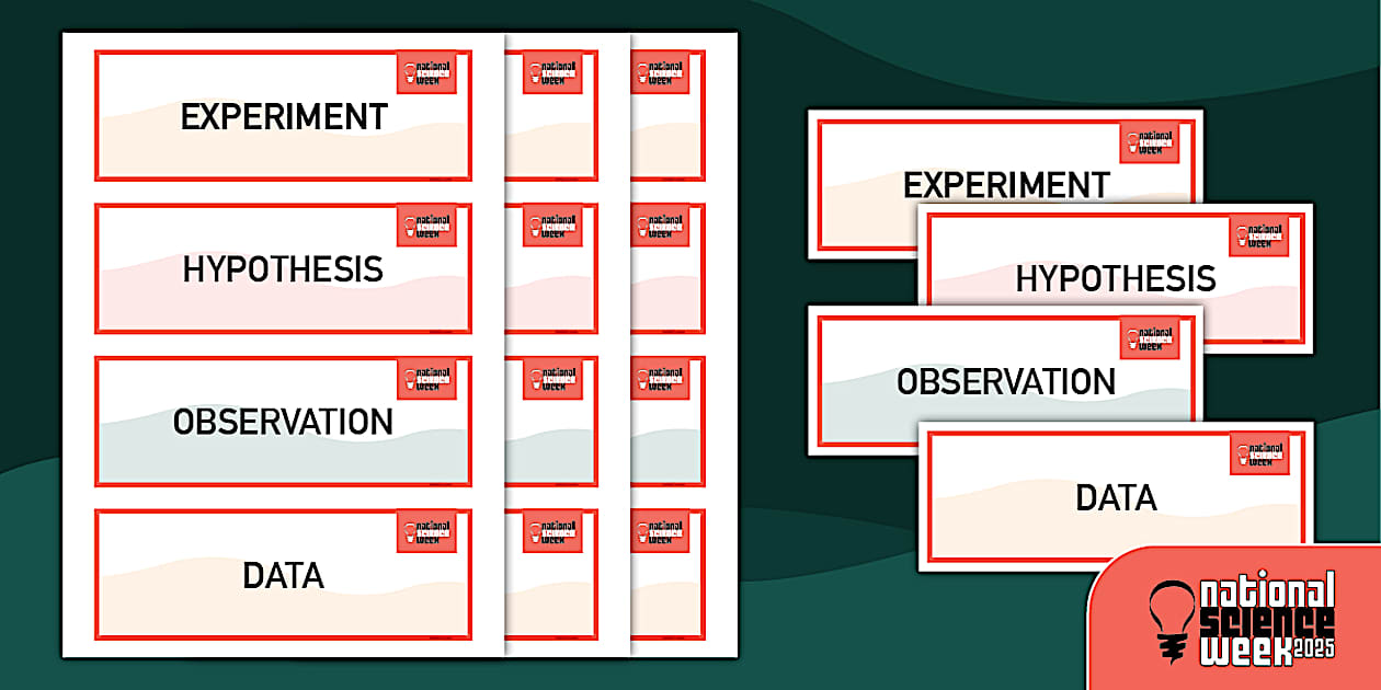 National Science Week Vocabulary Cards (teacher made)