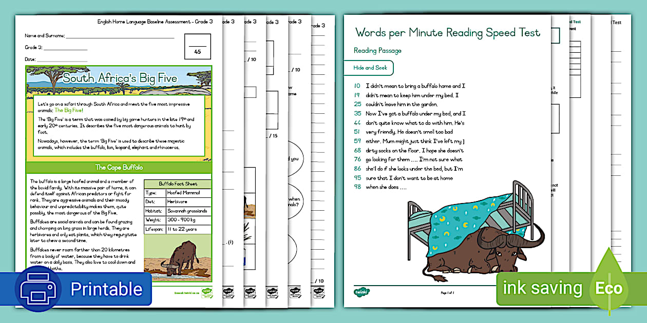 Grade 3 Baseline Assessment PDF (Teacher-Made) - Twinkl