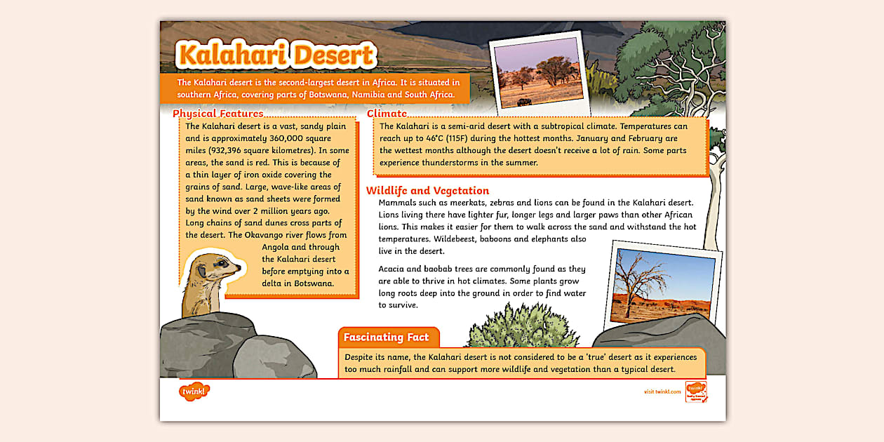 KS2 All About The Kalahari Desert Fact File - Twinkl