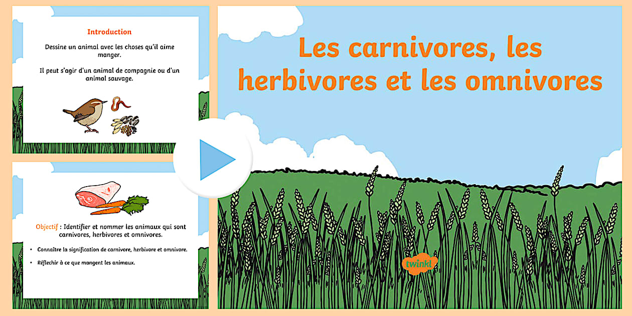 PowerPoint : Identifier les herbivores, les carnivores et les omnivores