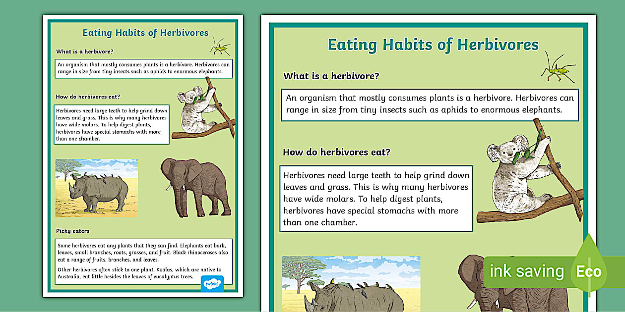 Eating Habits of Herbivores Display Poster (Teacher-Made)