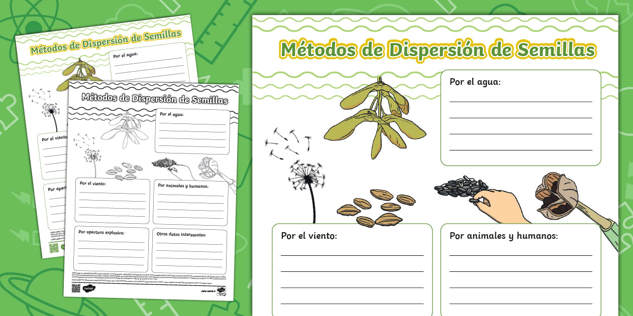 Ficha de Investigación: Métodos de Dispersión de Semillas