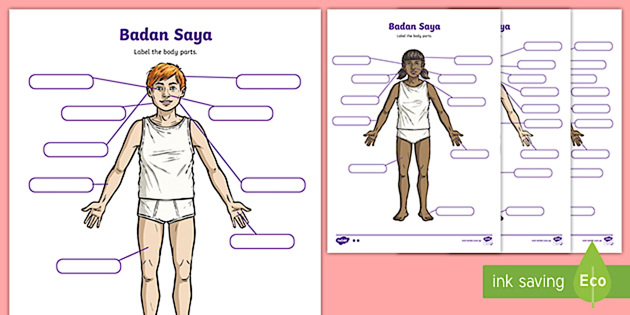 My Body Labelling Differentiated Activity (Teacher-Made)