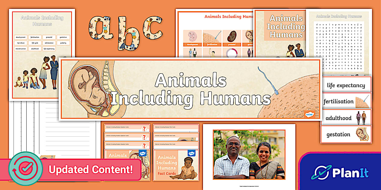 Science: Animals Including Humans: Year 5 Additional Resources